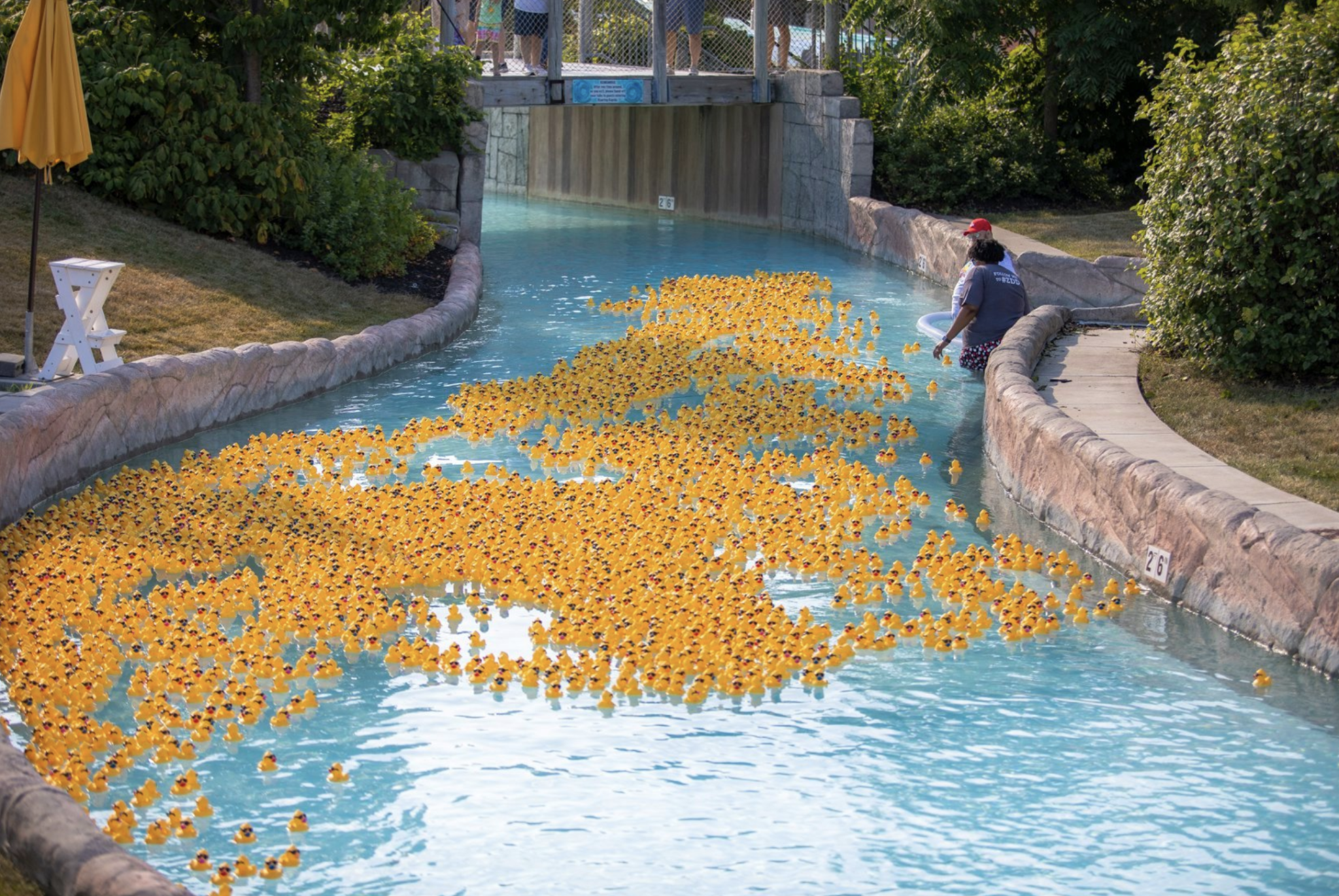 Zoom Duck Derby 2022 - The Alpha Group